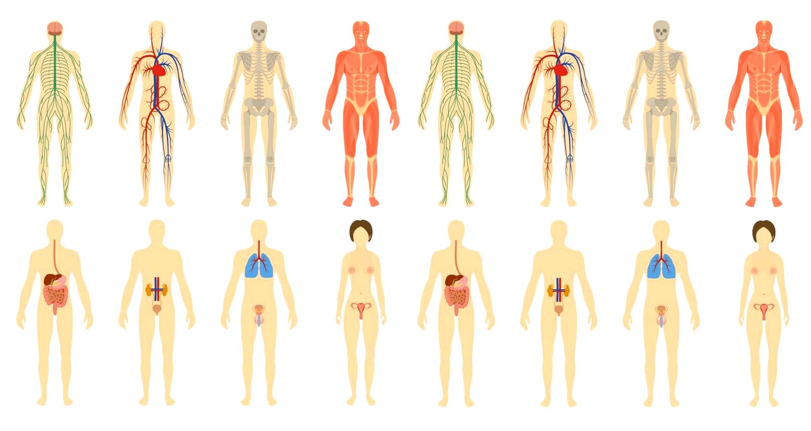 The Vegan's Guide to Eating Potatoes: What You Need To Know ...